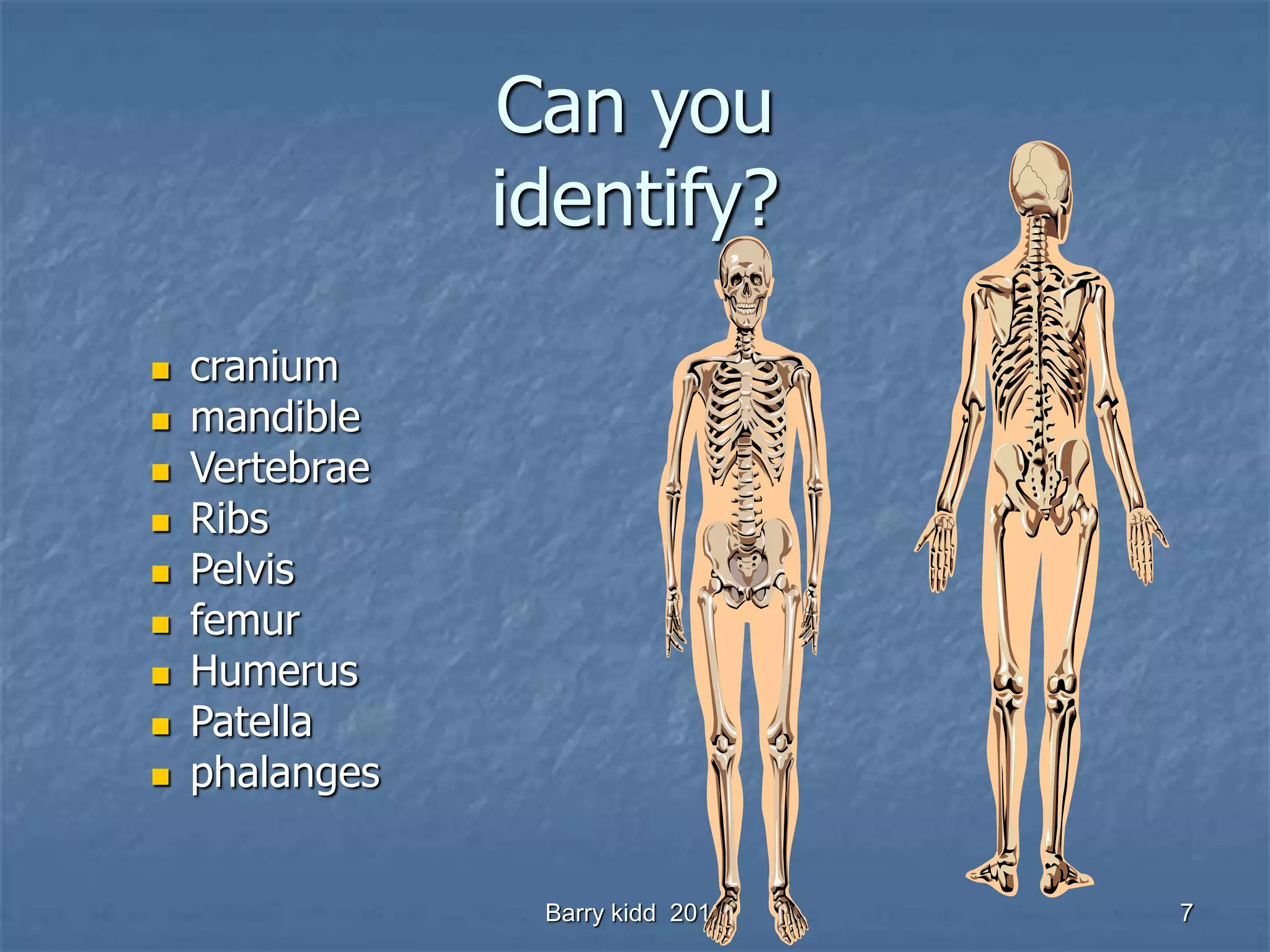 Musculoskeletal injuries | PPT