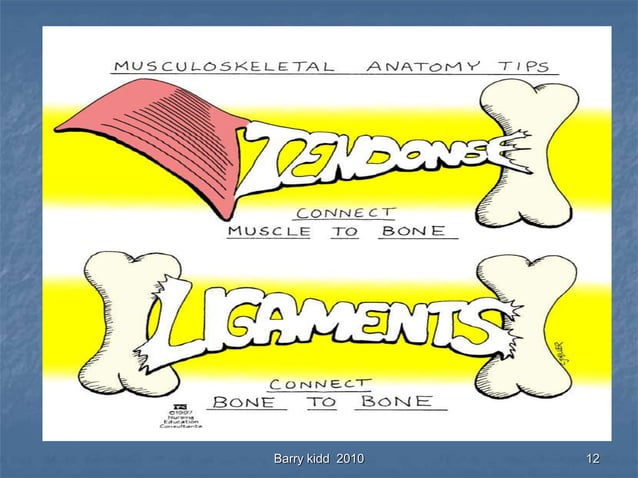 Musculoskeletal injuries | PPT | First Aid | Injuries