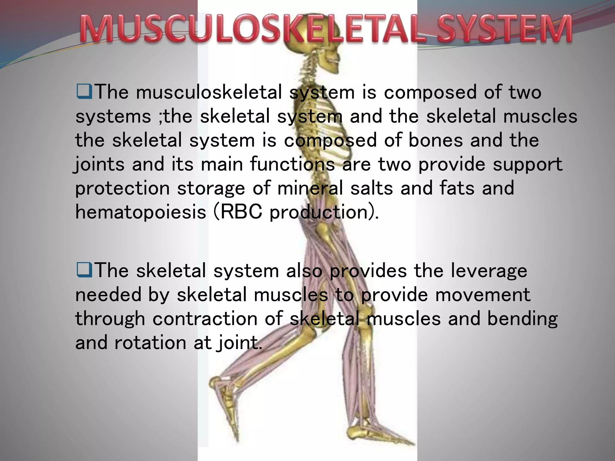 Musculoskeletal injury.pptx