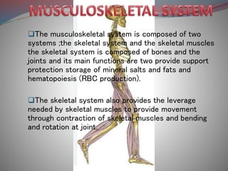 Musculoskeletal injury.pptx