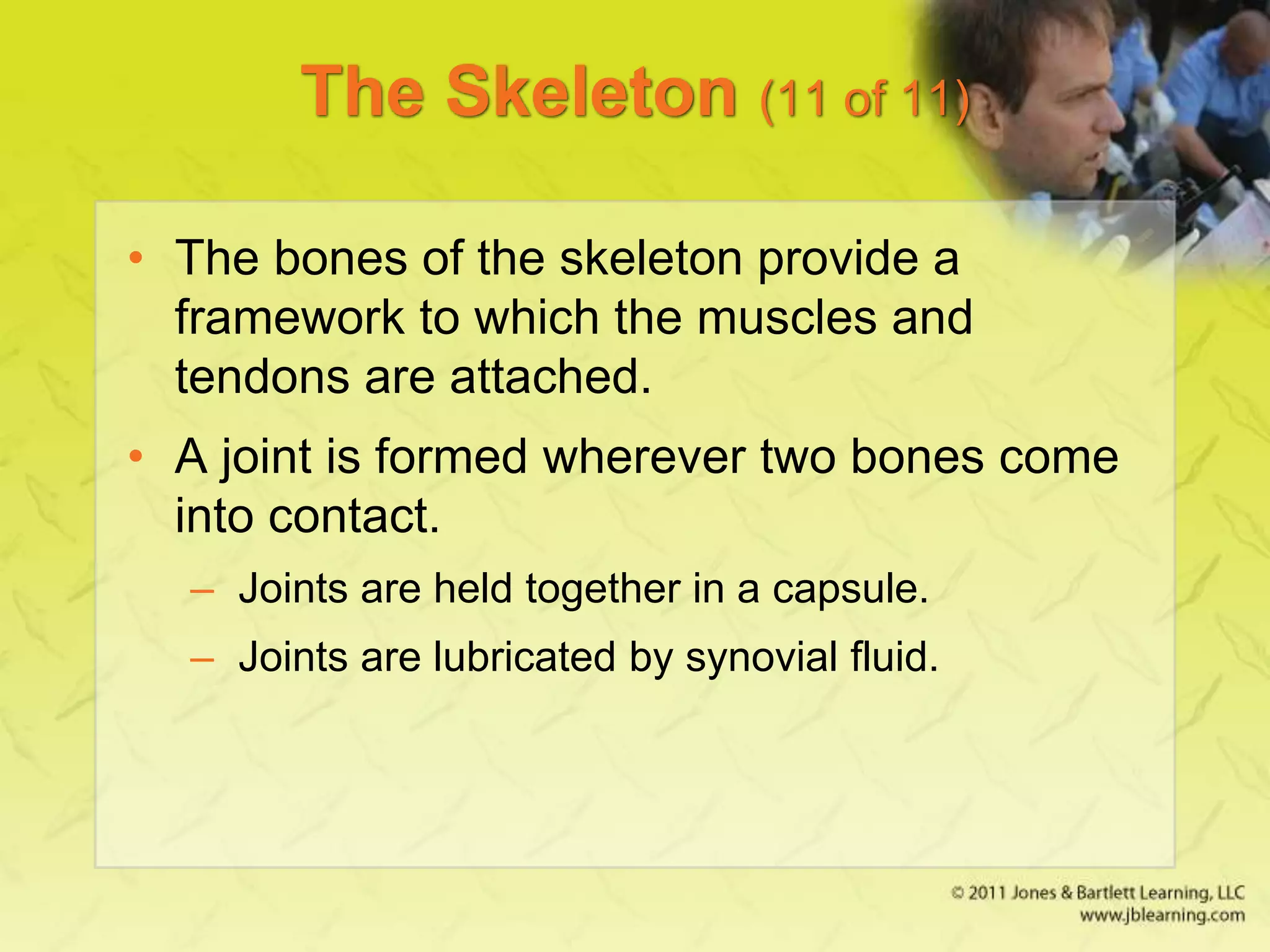 MUSCULOSKELETAL INJURY.ppt