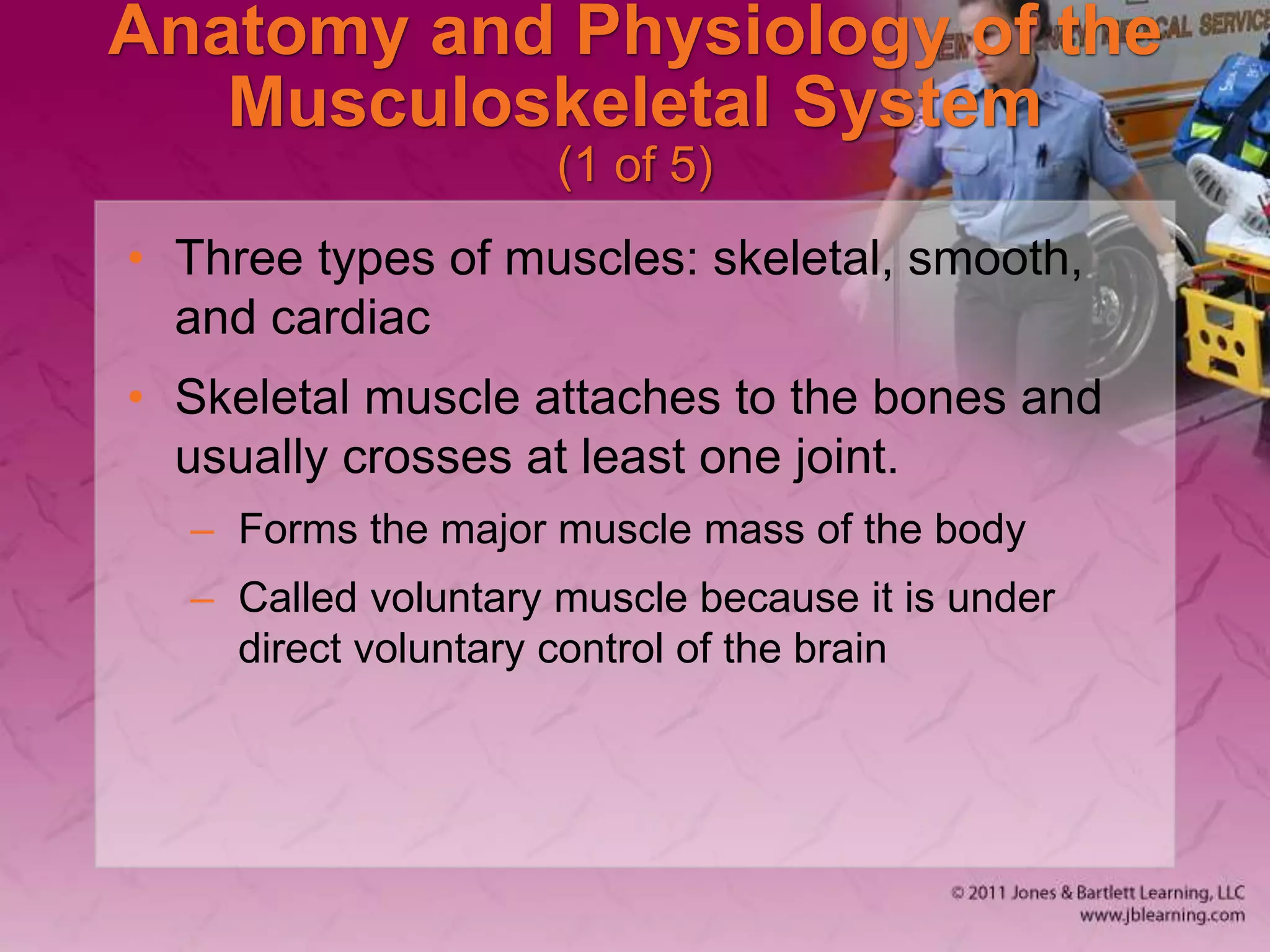 MUSCULOSKELETAL INJURY.ppt
