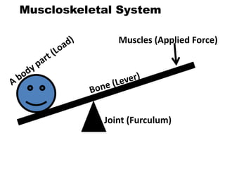 MusculoSkeletal Note.pptx
