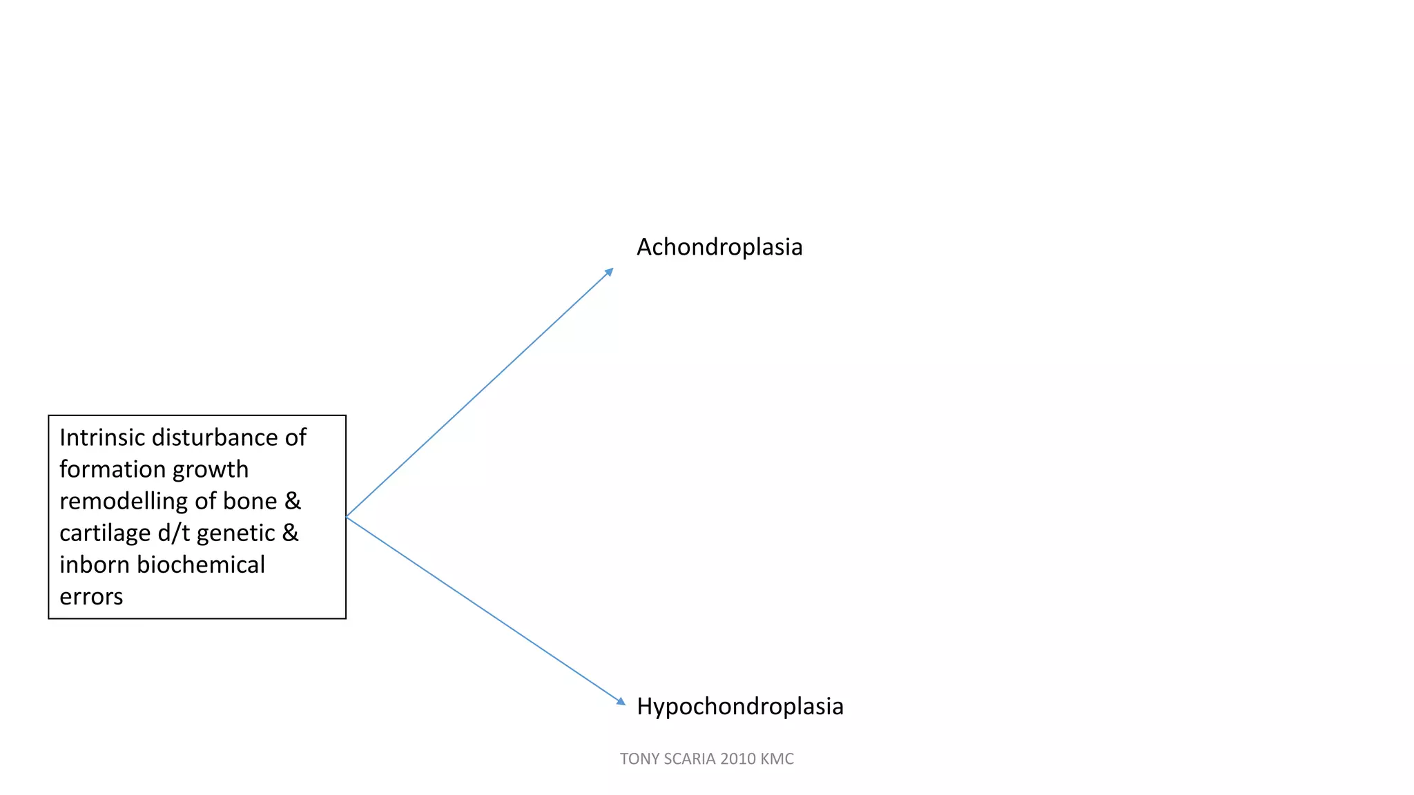 Musculoskeletal radiology revision notes | PDF