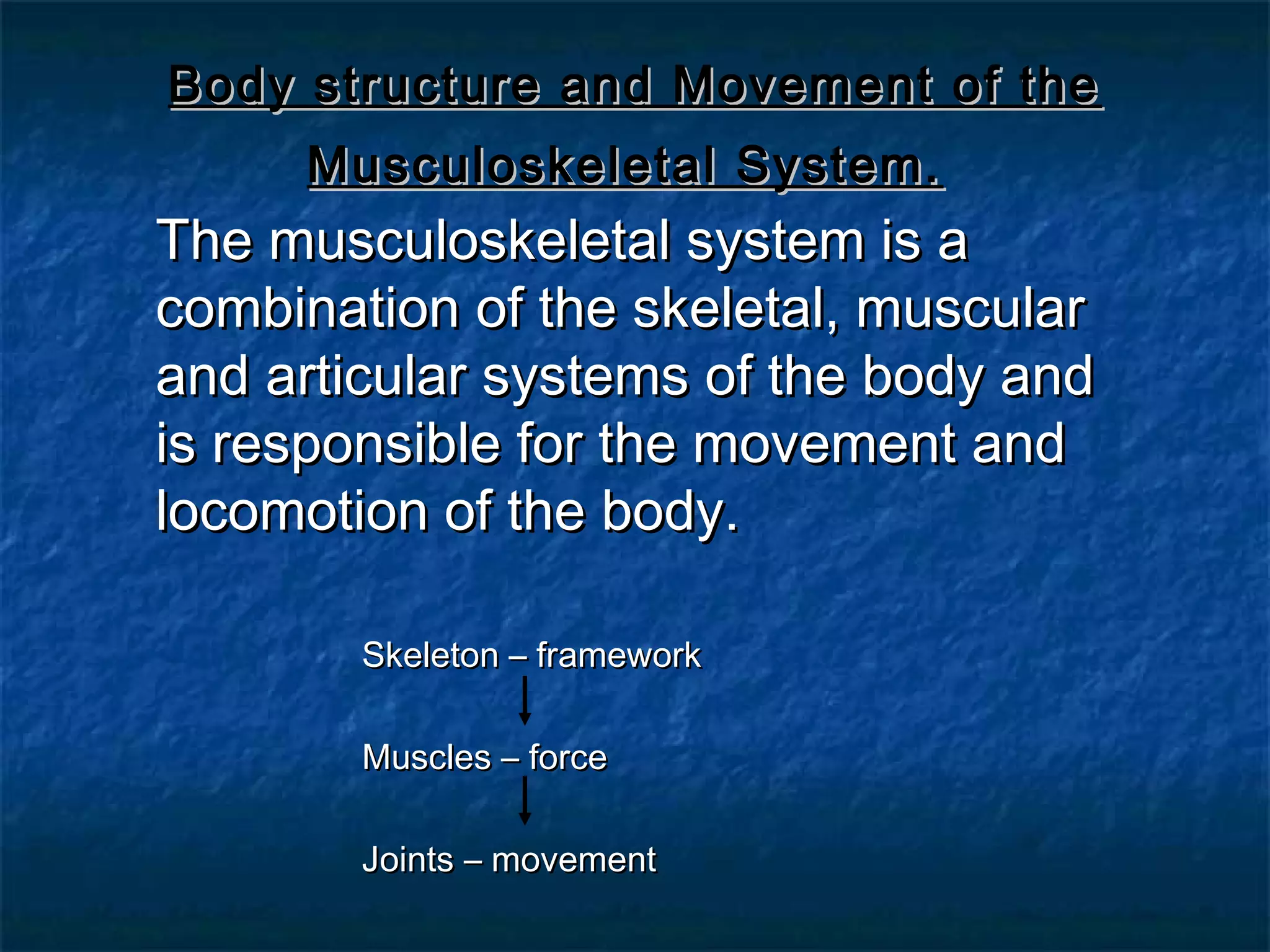 Musculoskeletal system | PPT