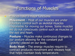 Musculoskeletal system | PPT