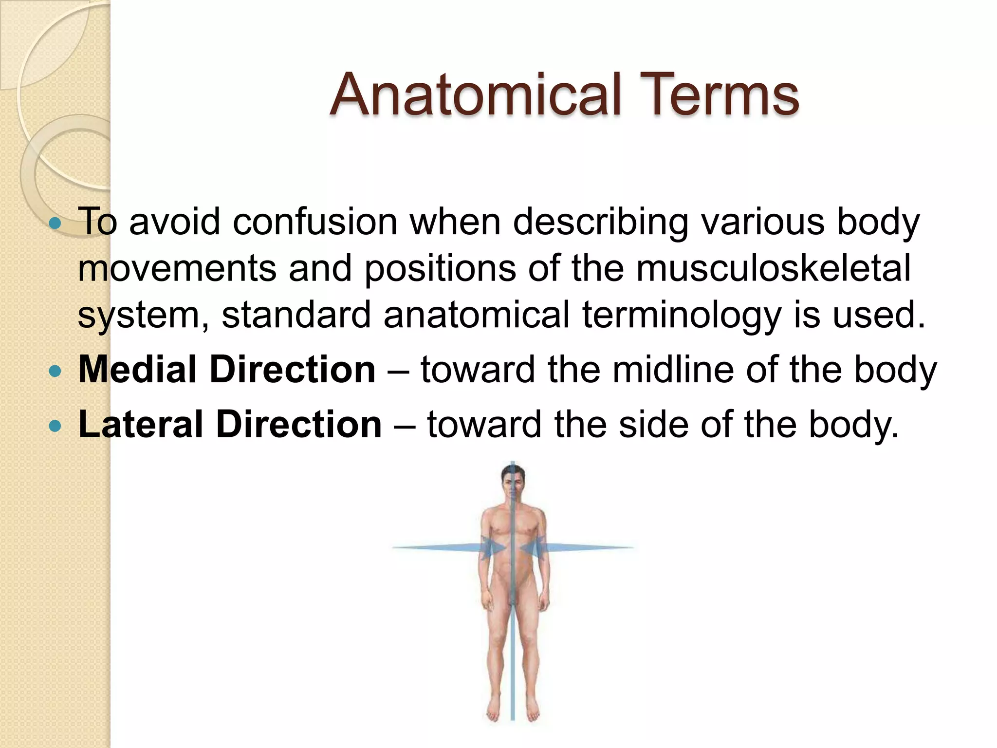 Musculoskeletal system | PPTX