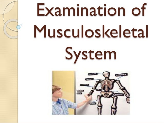 examination of Musculoskeletal system