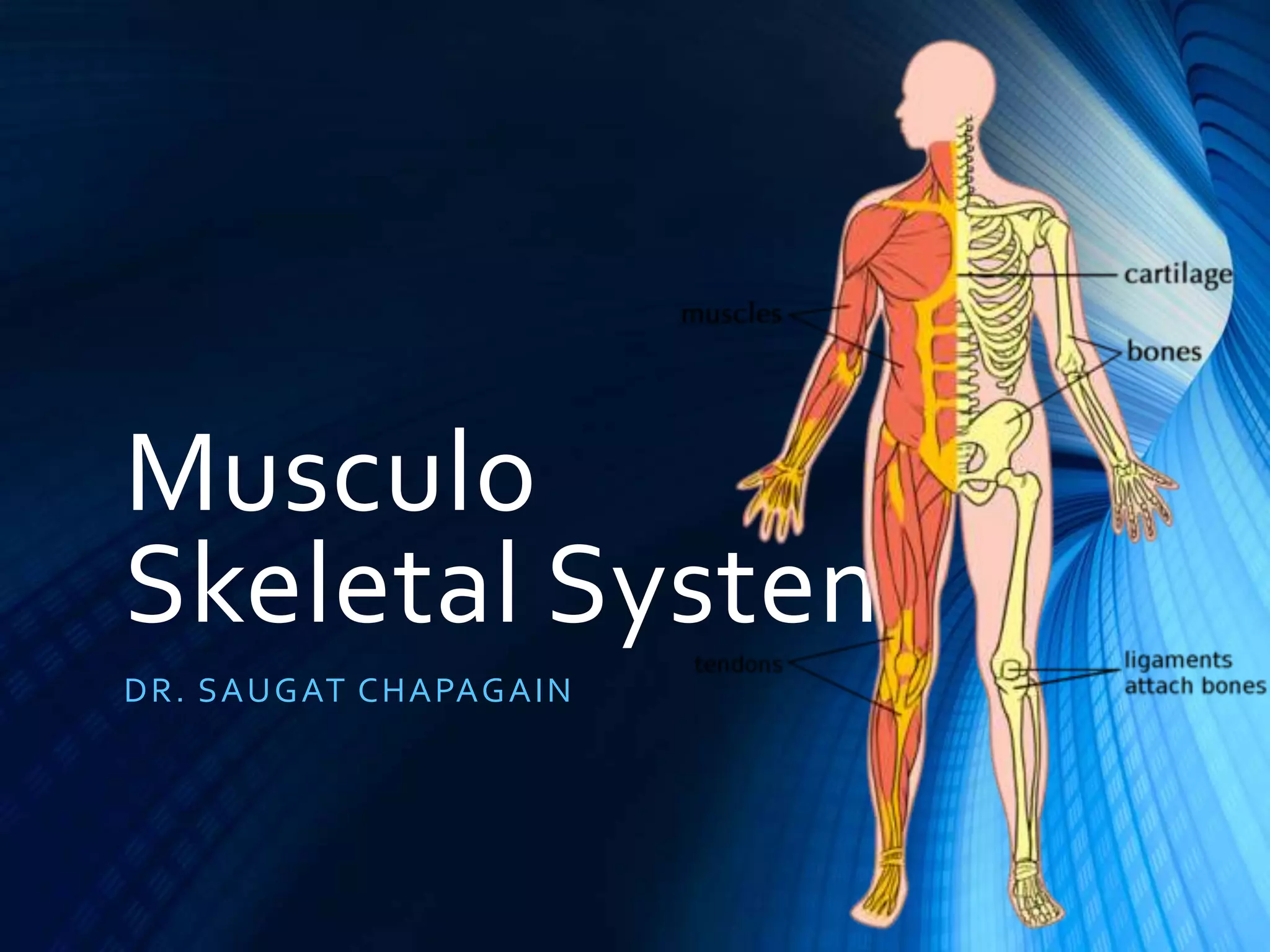 Musculo skeletal system | PPT