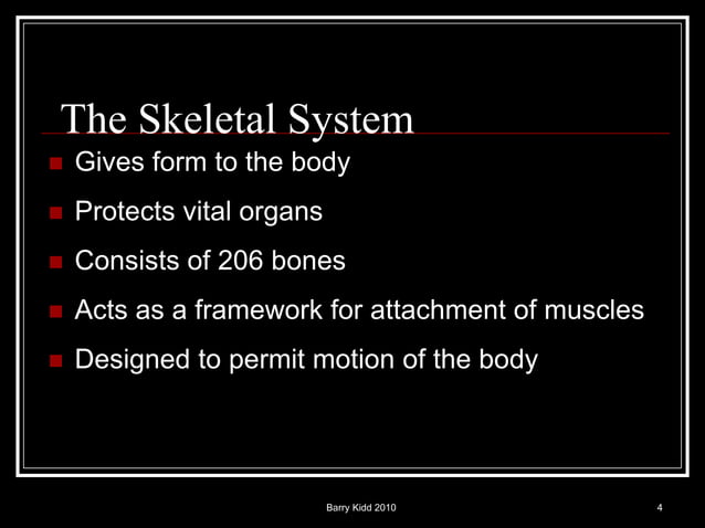 Musculoskeletal system | PPT