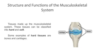 Musculoskeletal system | PPTX
