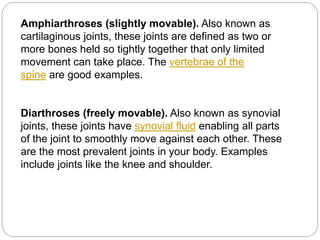 Musculoskeletal system | PPT