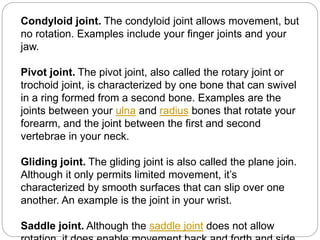 Musculoskeletal system | PPT