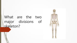 Musculoskeletal system.pptx