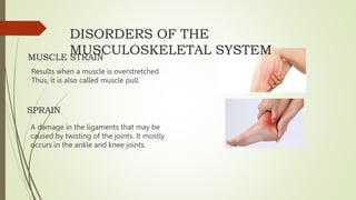 Musculoskeletal system.pptx