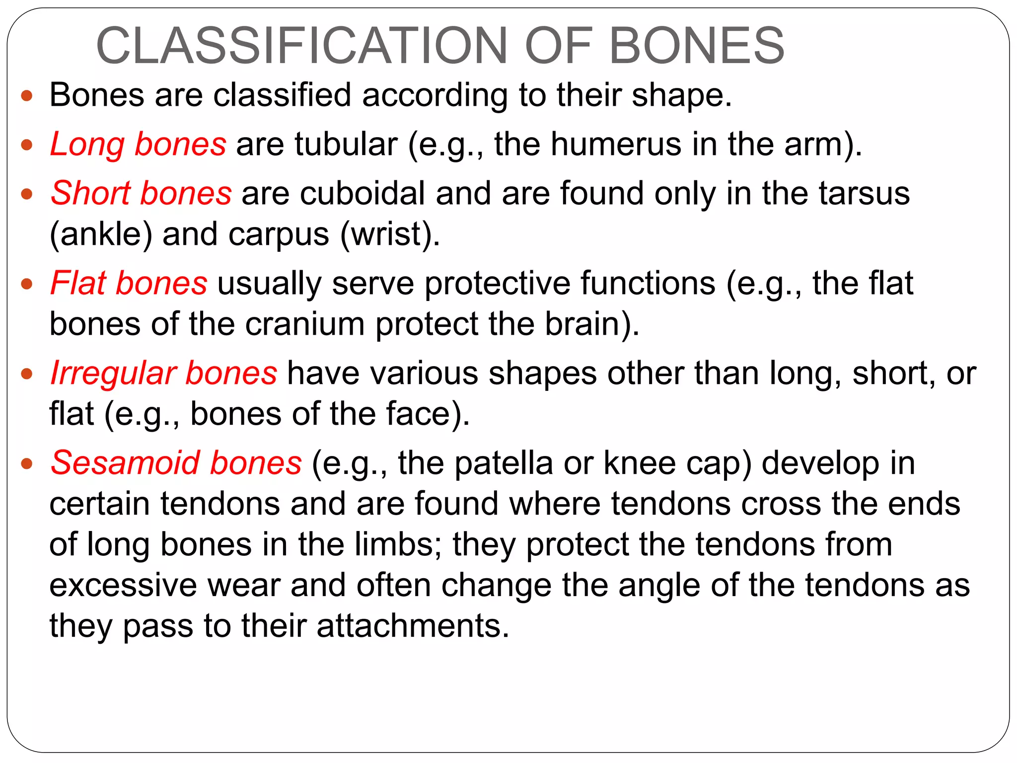 MUSCULOSKELETAL SYSTEM.ppt