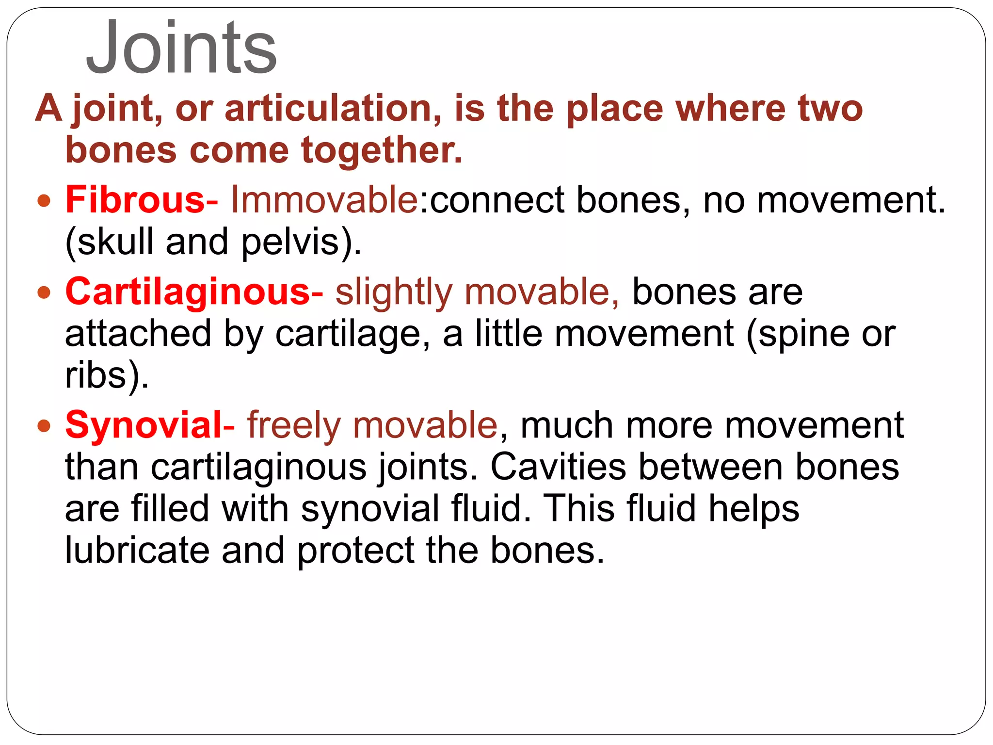 MUSCULOSKELETAL SYSTEM.ppt