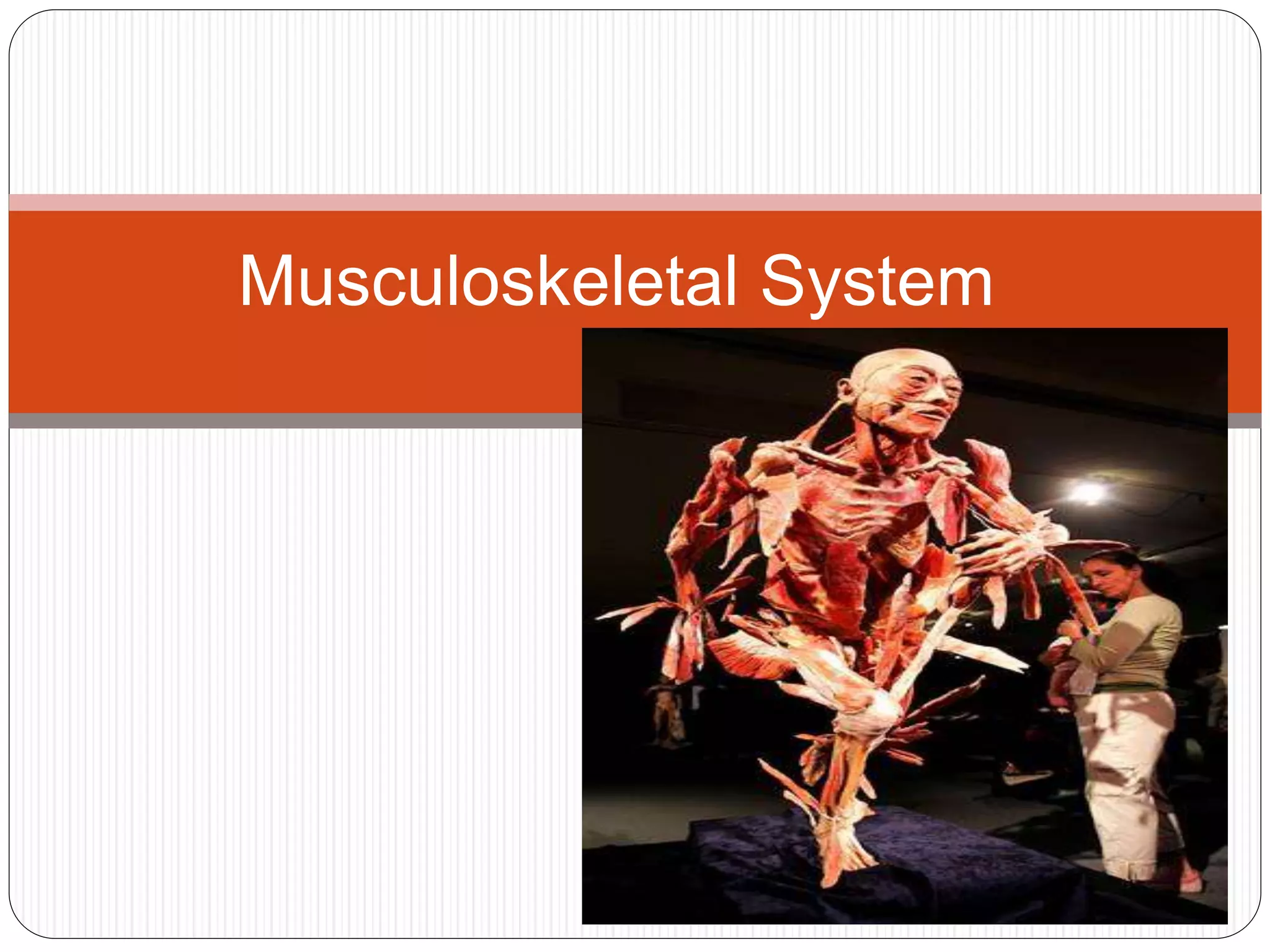 MUSCULOSKELETAL SYSTEM.ppt