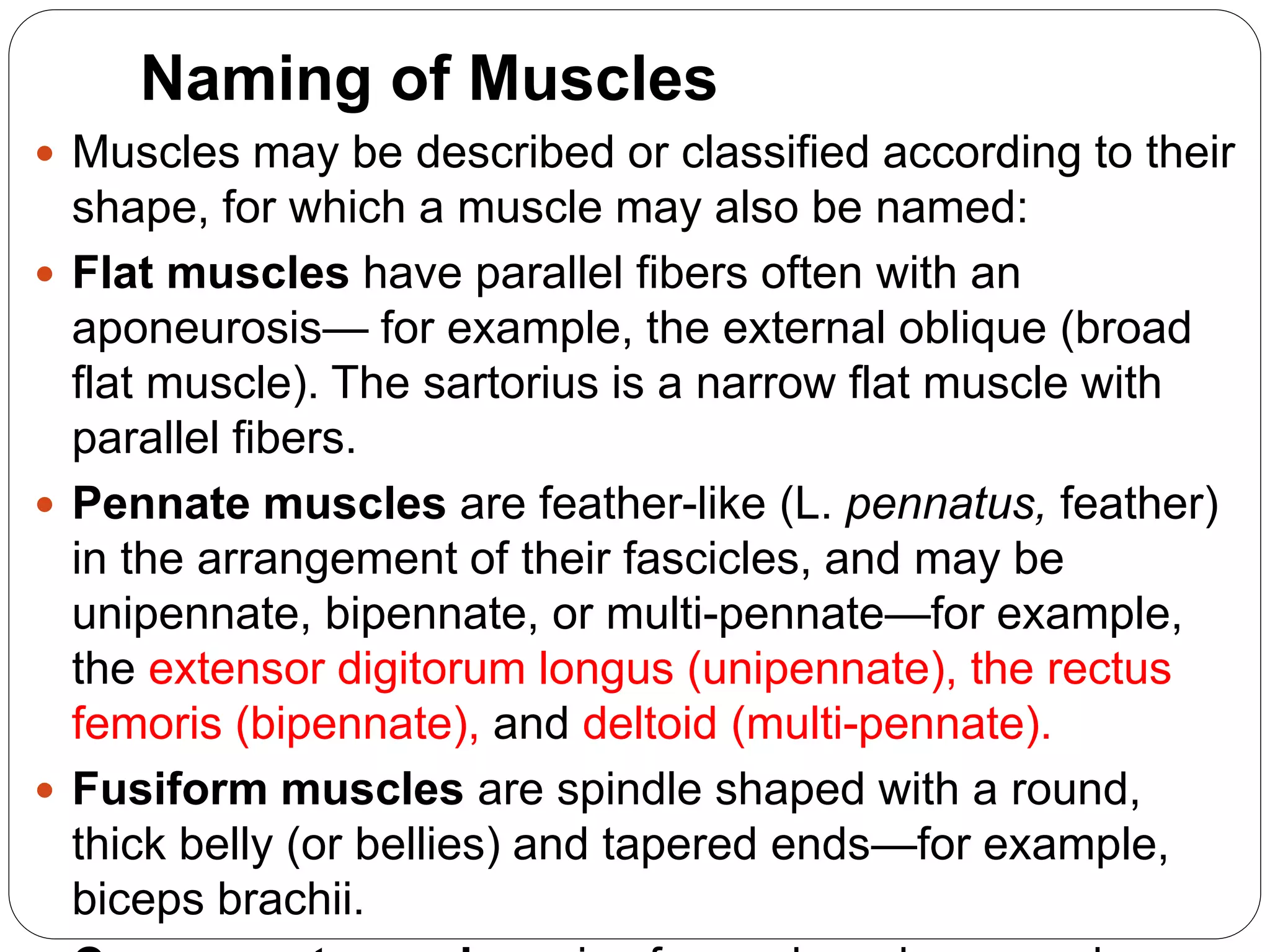 MUSCULOSKELETAL SYSTEM.ppt