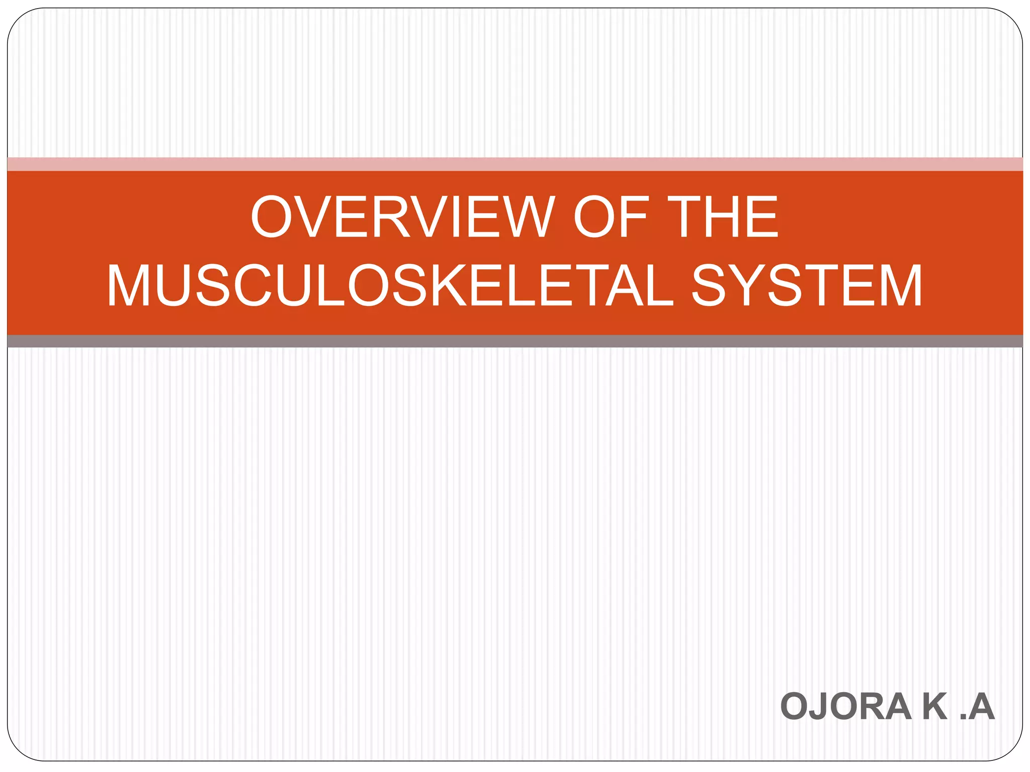 Overview of the Musculoskeletal System | PPT