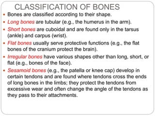 MUSCULOSKELETAL SYSTEM.ppt