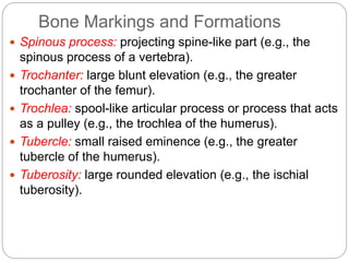 MUSCULOSKELETAL SYSTEM.ppt