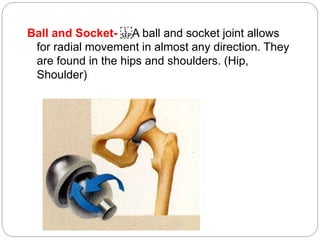 MUSCULOSKELETAL SYSTEM.ppt