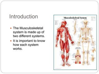 MUSCULOSKELETAL SYSTEM.ppt