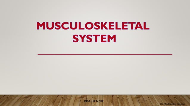 Human body & Musculoskeletal system.pdf