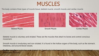 Human body & Musculoskeletal system.pdf