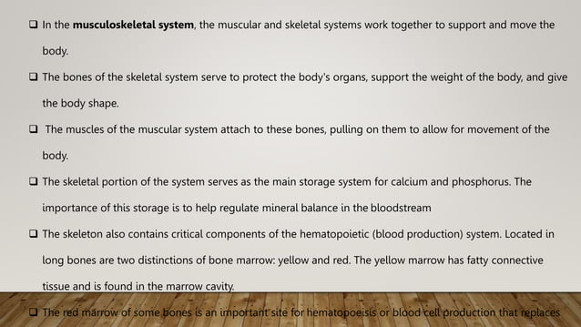 Human body & Musculoskeletal system.pdf