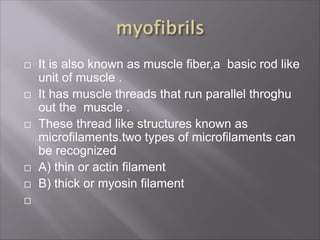 musculo skeletal system .pdf for nurses doctor and pharmacist and also ...