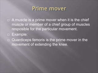 musculo skeletal system .pdf for nurses doctor and pharmacist and also ...