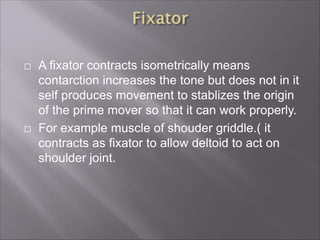 musculo skeletal system .pdf for nurses doctor and pharmacist and also ...