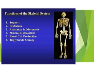 COMPLICATION OF MUSCULOSKELETAL SYSTEM . | PPTX
