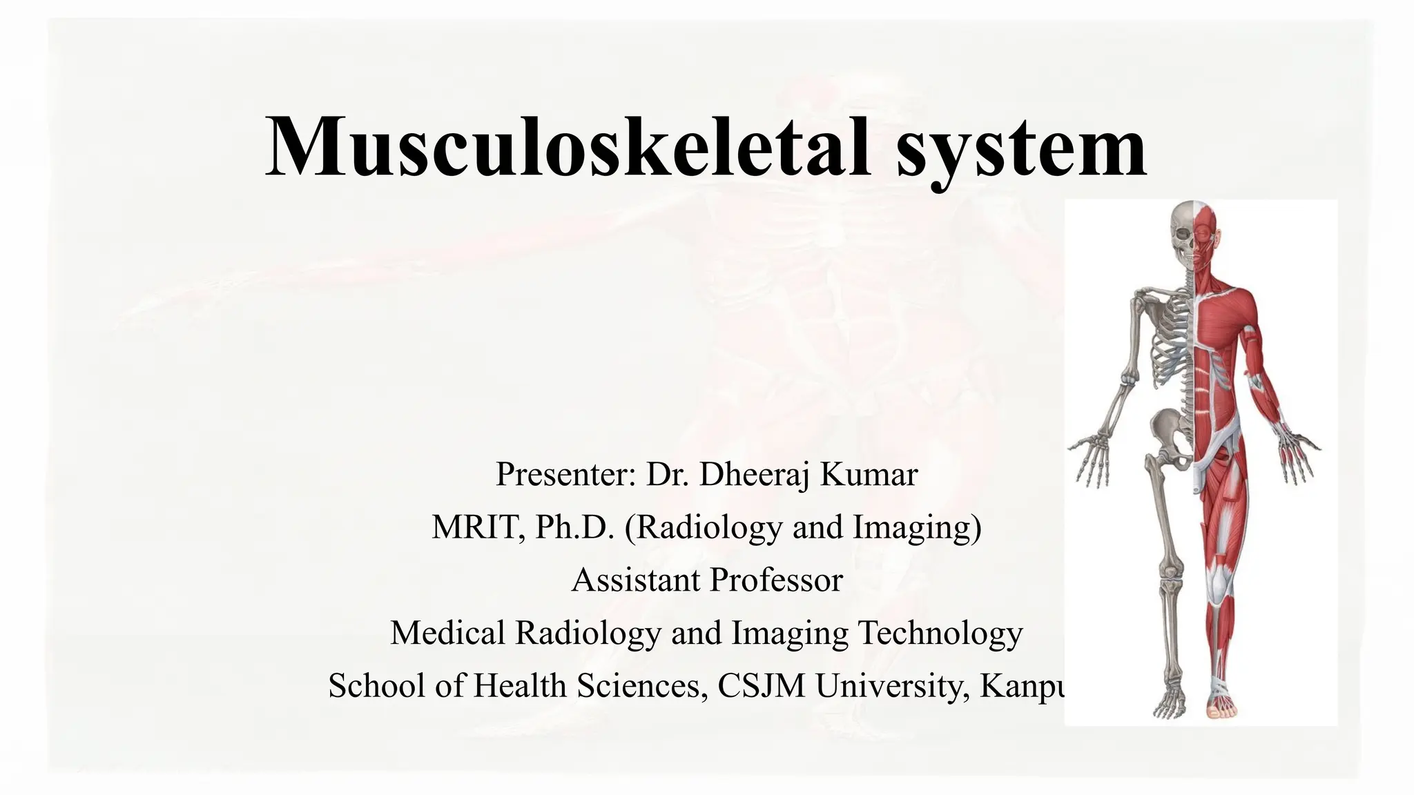 Musculoskeletal systemIt is composed of bones, muscles, connective ...