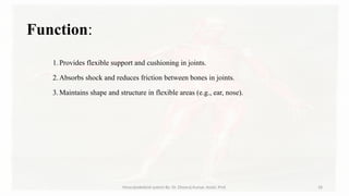 Musculoskeletal systemIt is composed of bones, muscles, connective ...