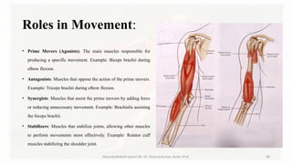 Musculoskeletal systemIt is composed of bones, muscles, connective ...