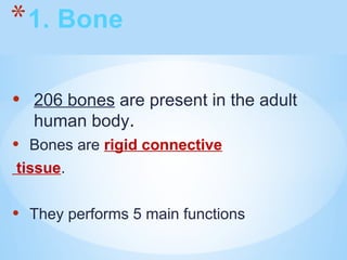 Anatomy and physiology of Musculoskeletal System | PPTX