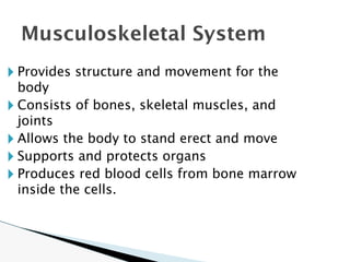 musculoskeletal_system.pptxmmmmmmmmmmmmmmmmm | PPTX