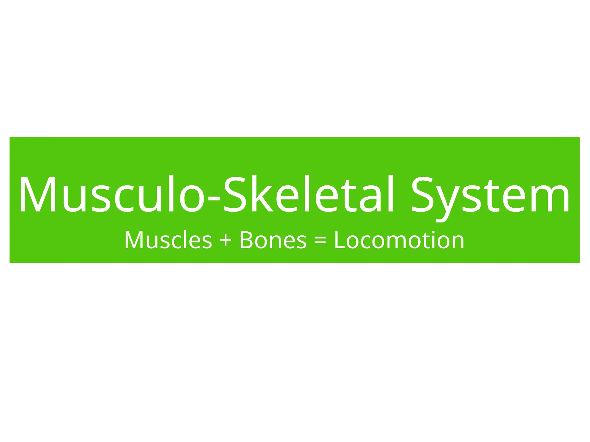 Muscular and skeletal system of human body | PPT