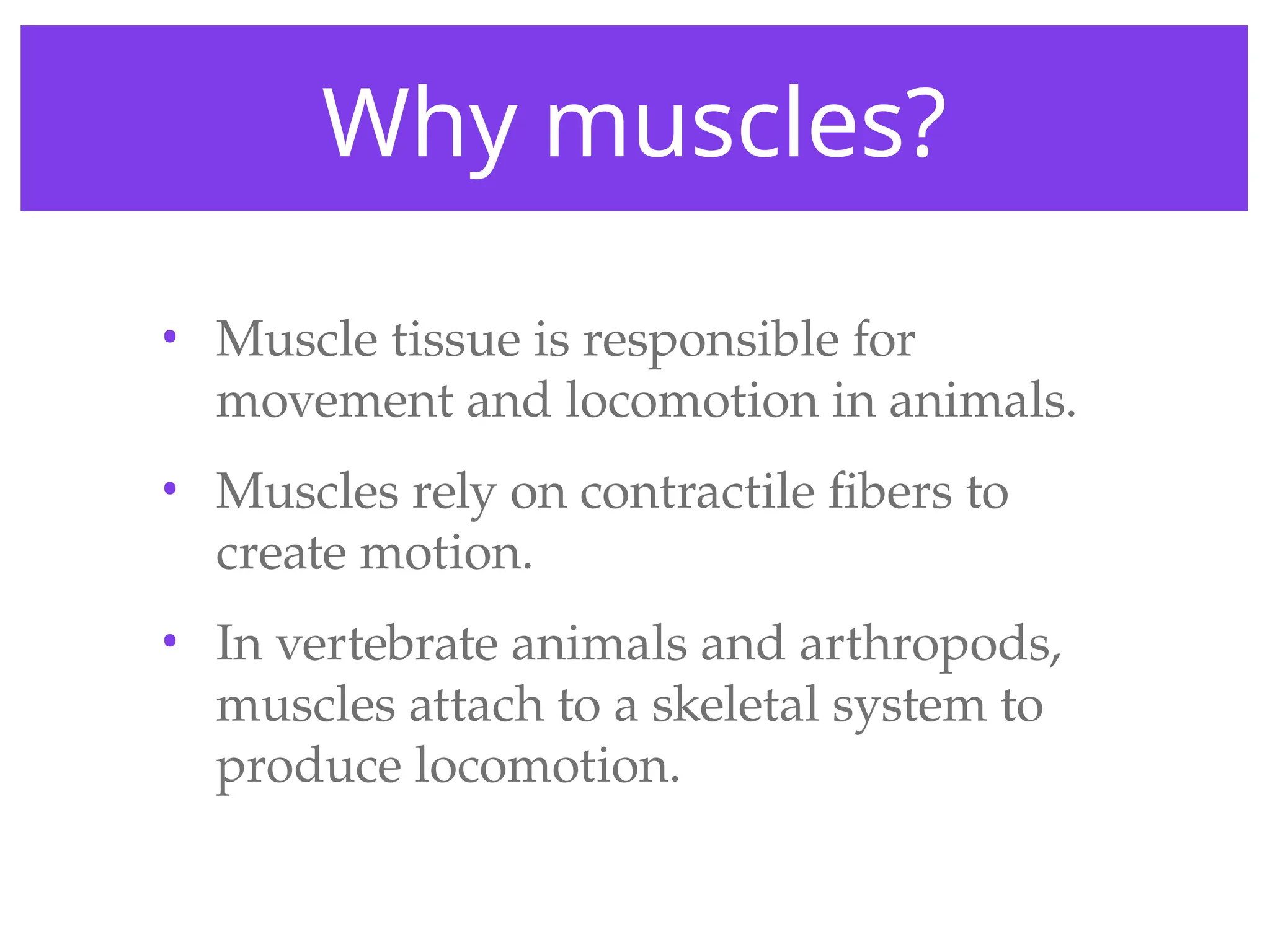 Muscular and skeletal system of human body | PPT