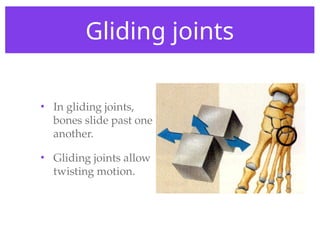 Muscular and skeletal system of human body | PPT