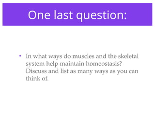 Muscular and skeletal system of human body | PPT