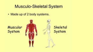 MUSCULOSKELETAL SYSTEM ANATOMY AND PHYSIOLOGY .pptx