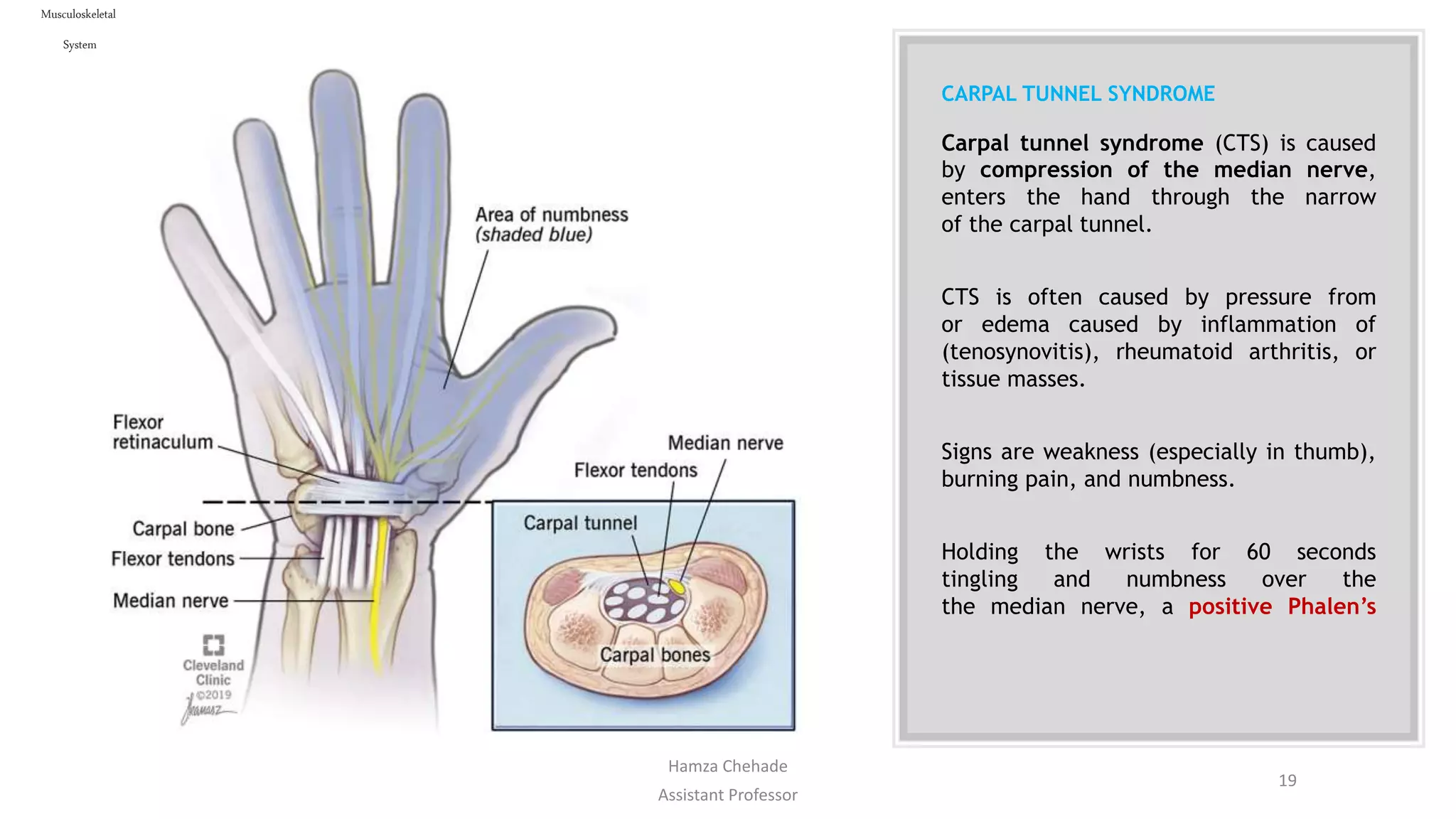 Musculoskeletal system assessment, diagnosis and disorders l | PPTX