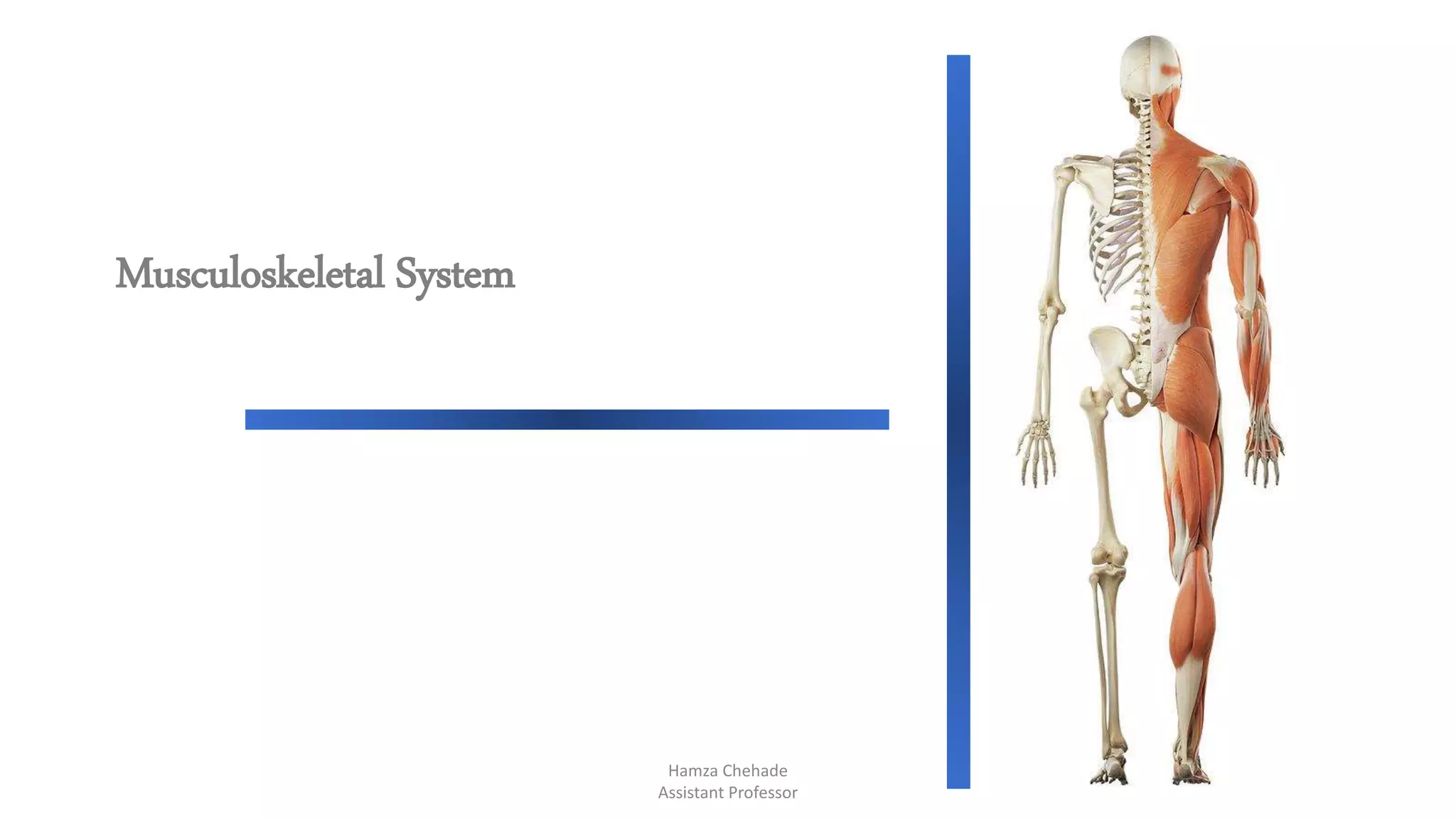 Musculoskeletal system assessment, diagnosis and disorders l | PPTX