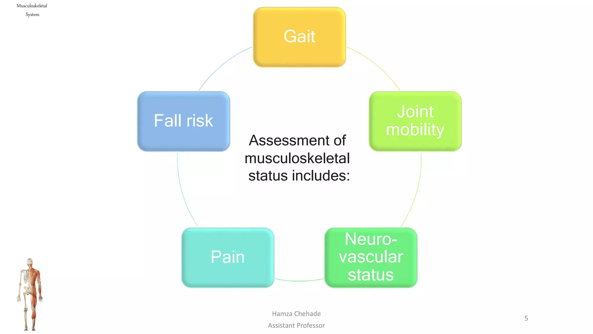 Musculoskeletal system assessment, diagnosis and disorders l | PPTX