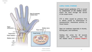 Musculoskeletal system assessment, diagnosis and disorders l | PPTX