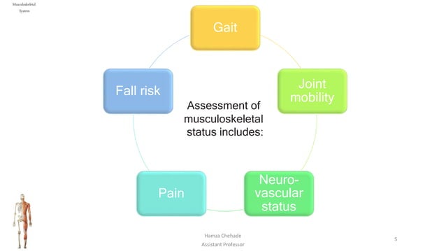 Musculoskeletal system assessment, diagnosis and disorders l | PPT